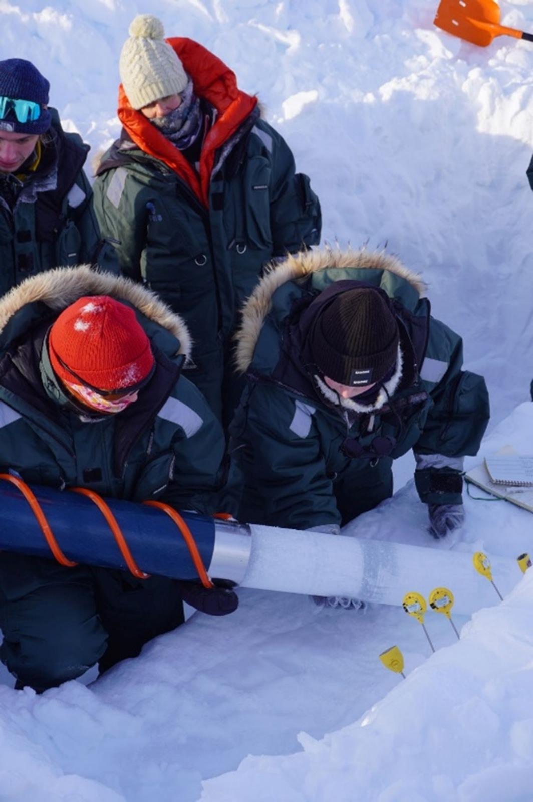 Project Detail – Swiss Polar Institute